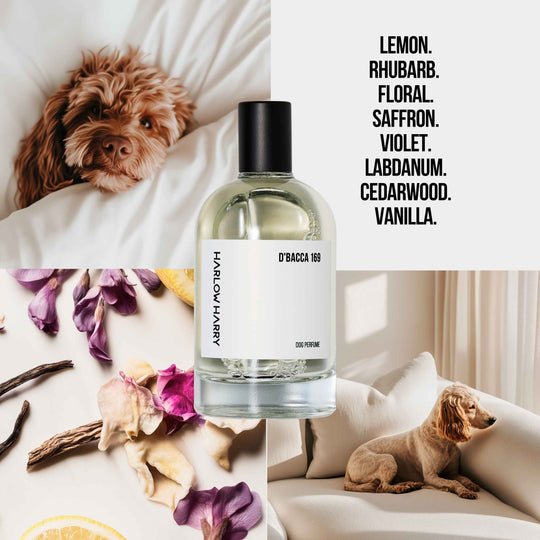 Dog Perfume | Sophisticated Scents For Bougie Dogs – HARLOW HARRY