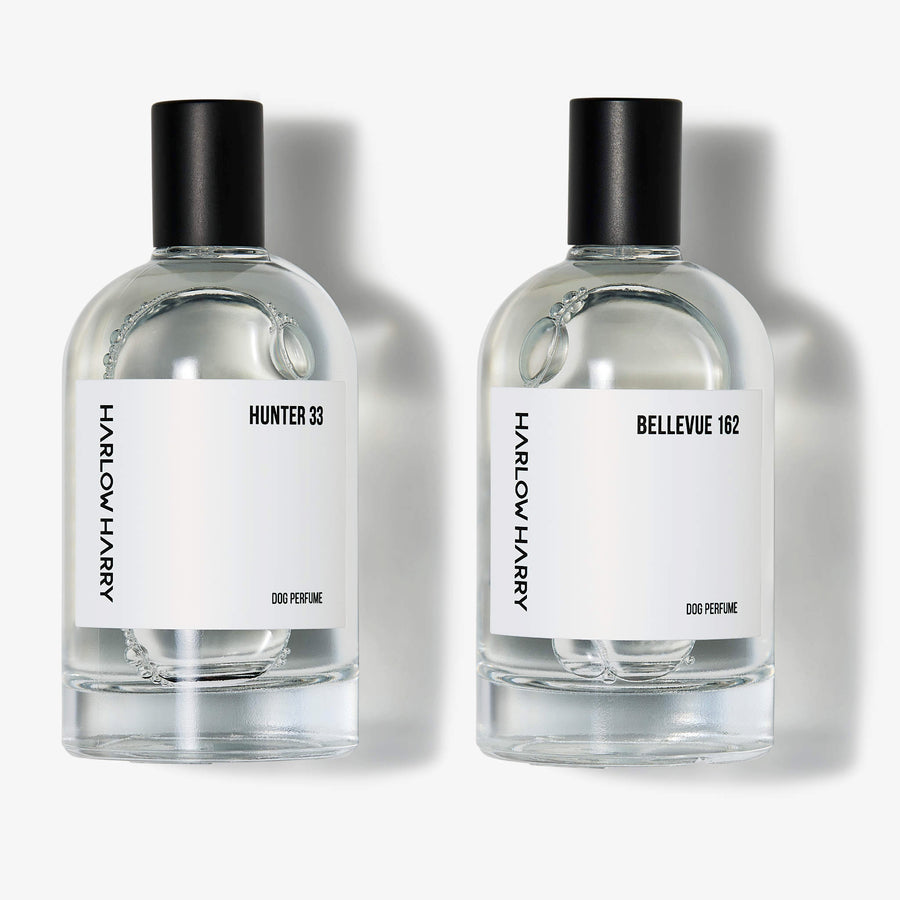 Dog Perfume | Sophisticated Scents For Bougie Dogs – HARLOW HARRY